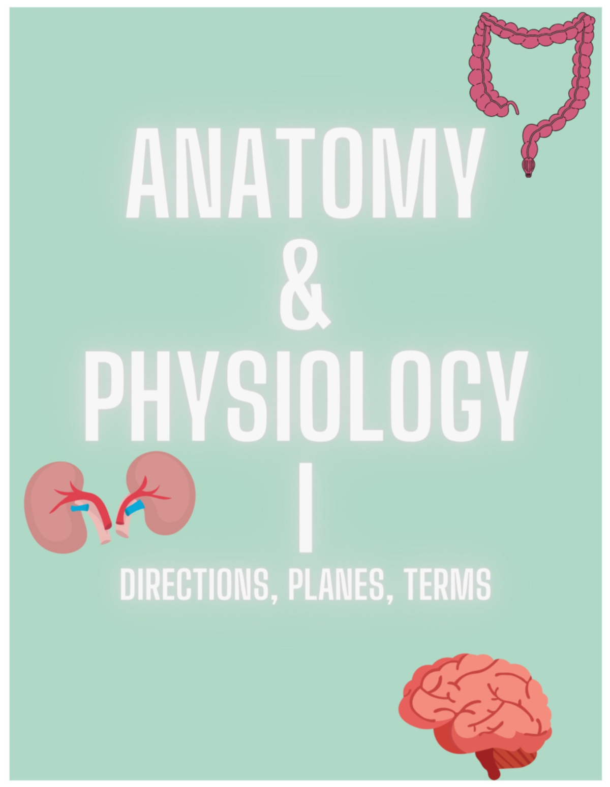 Anatomy and Physiology Notes - Anatomical Directions Anterior: In front ...