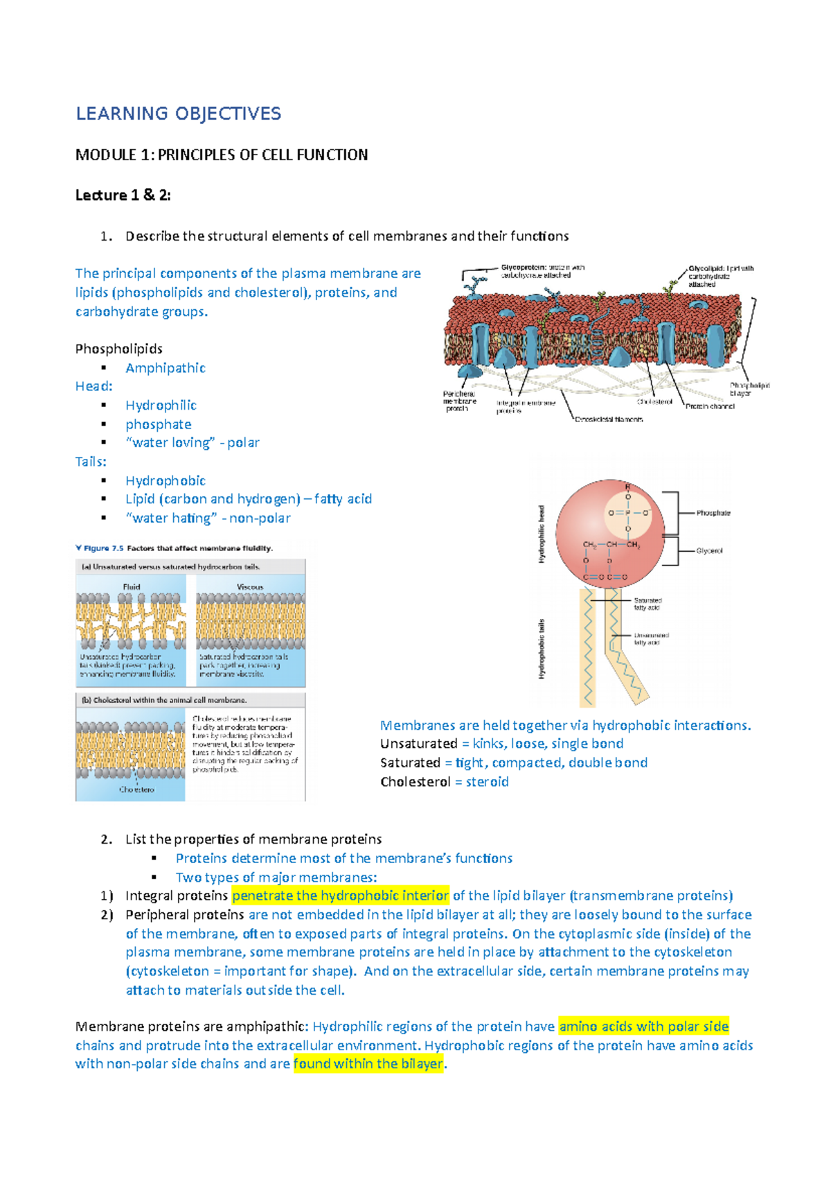 Module 1 Principles of Cell Function - LEARNING OBJECTIVES MODULE 1 ...
