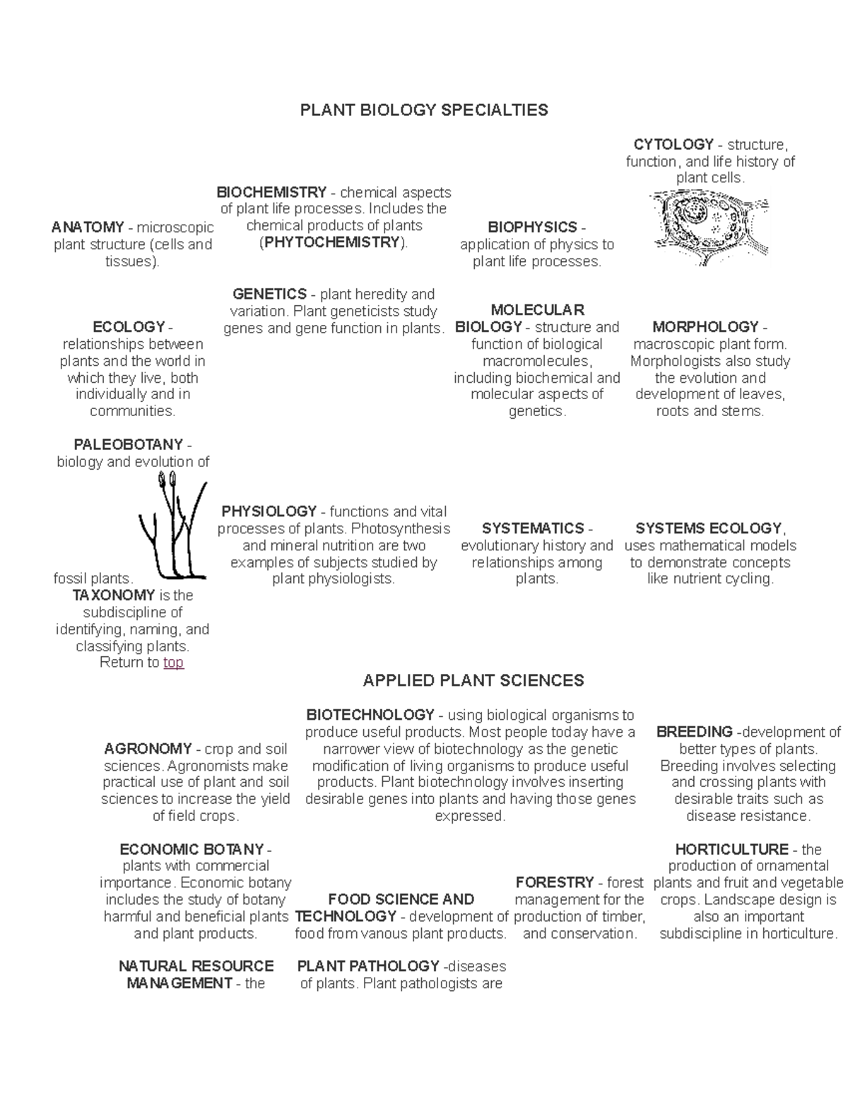Plant Biology Specialties - PLANT BIOLOGY SPECIALTIES ANATOMY ...