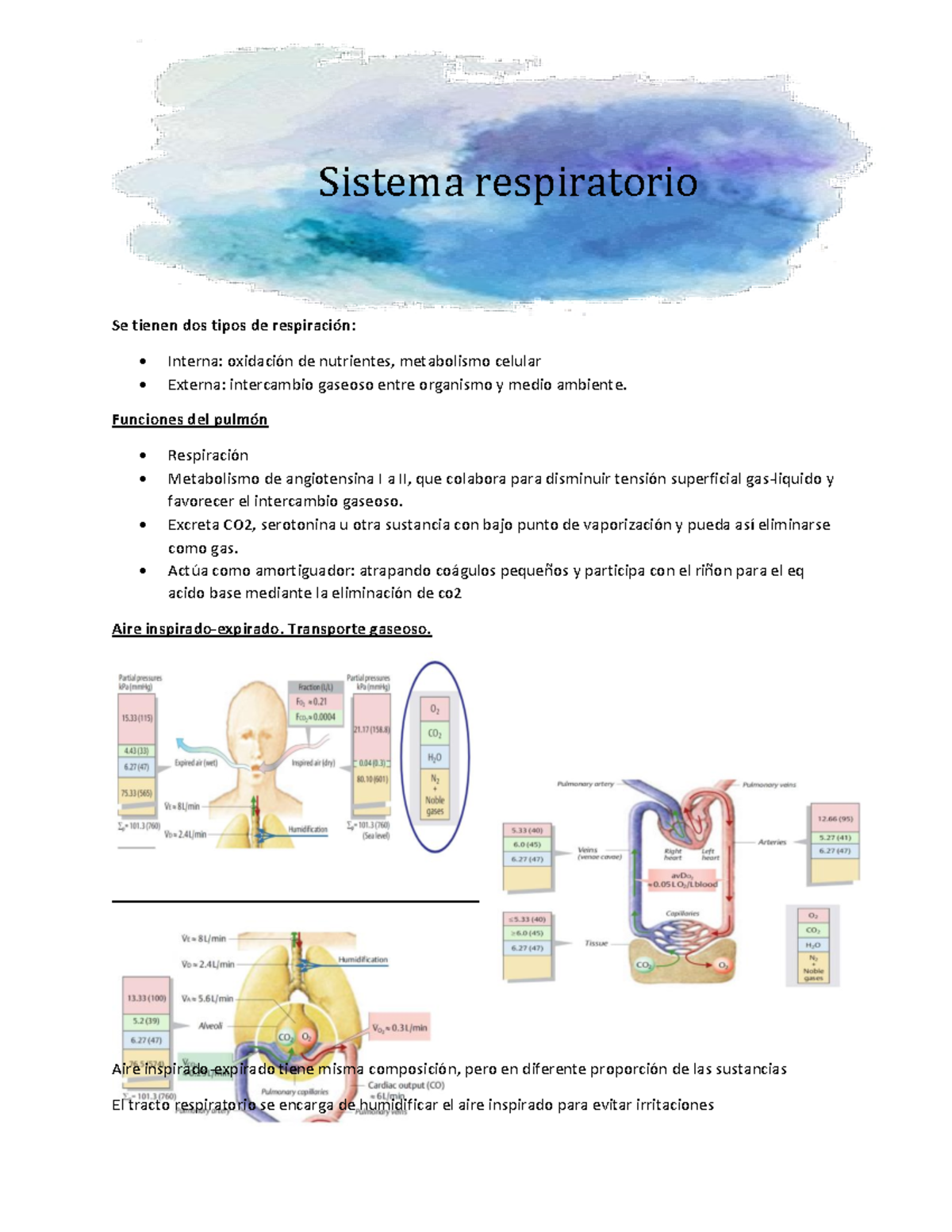 Sistema-respiratorio-fisiología - Warning: TT: undefined function: 32 Warning: TT: undefined ...