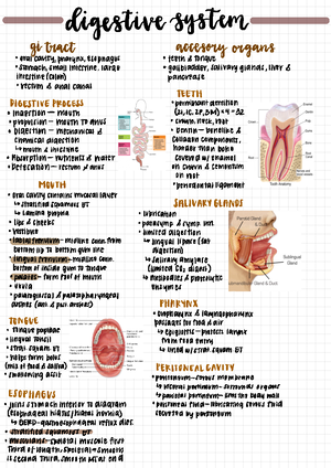 Muscle Systems lecture - muscle system origin attachment points where ...