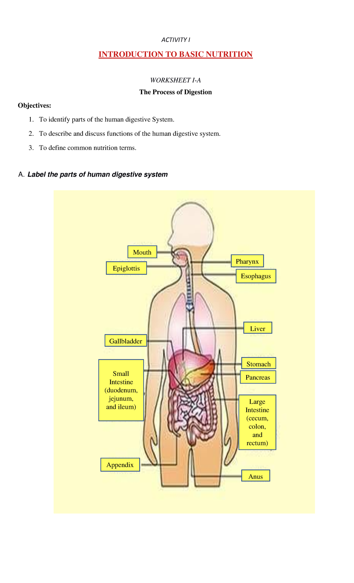 Activity In Nutrition-The Process of Digestion - ACTIVITY I ...
