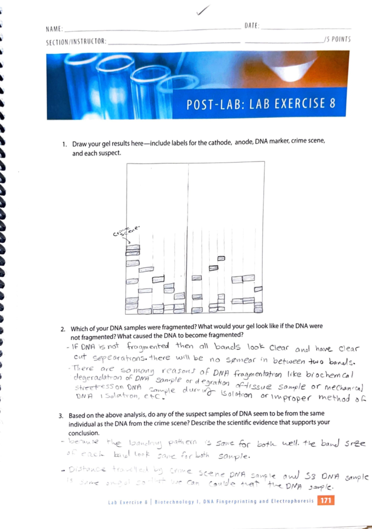 Post lab 8 biol L 190 - Deprecated API usage: The SVG back-end is no longer maintained and may ...
