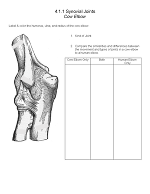 BIO 141 Unit1 Learning Objectives Anatomy Basics - BIO 141 Unit 1 ...