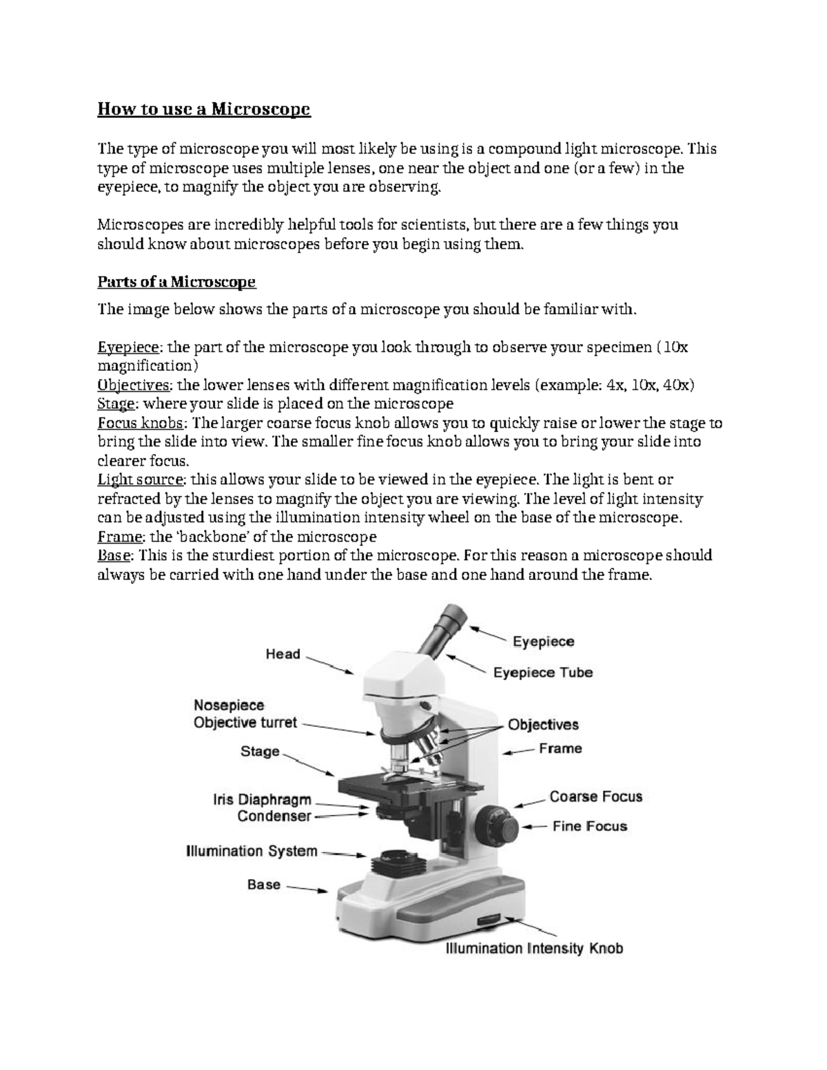 Microscope-Handout-ek - How to use a Microscope The type of microscope ...