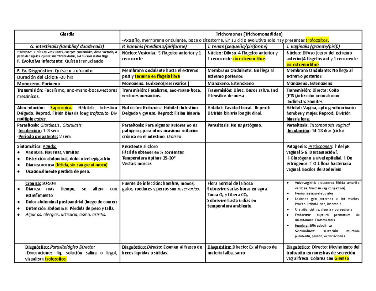 Cuadros Comparativos de Parasitología - Giardia Trichomonas ...