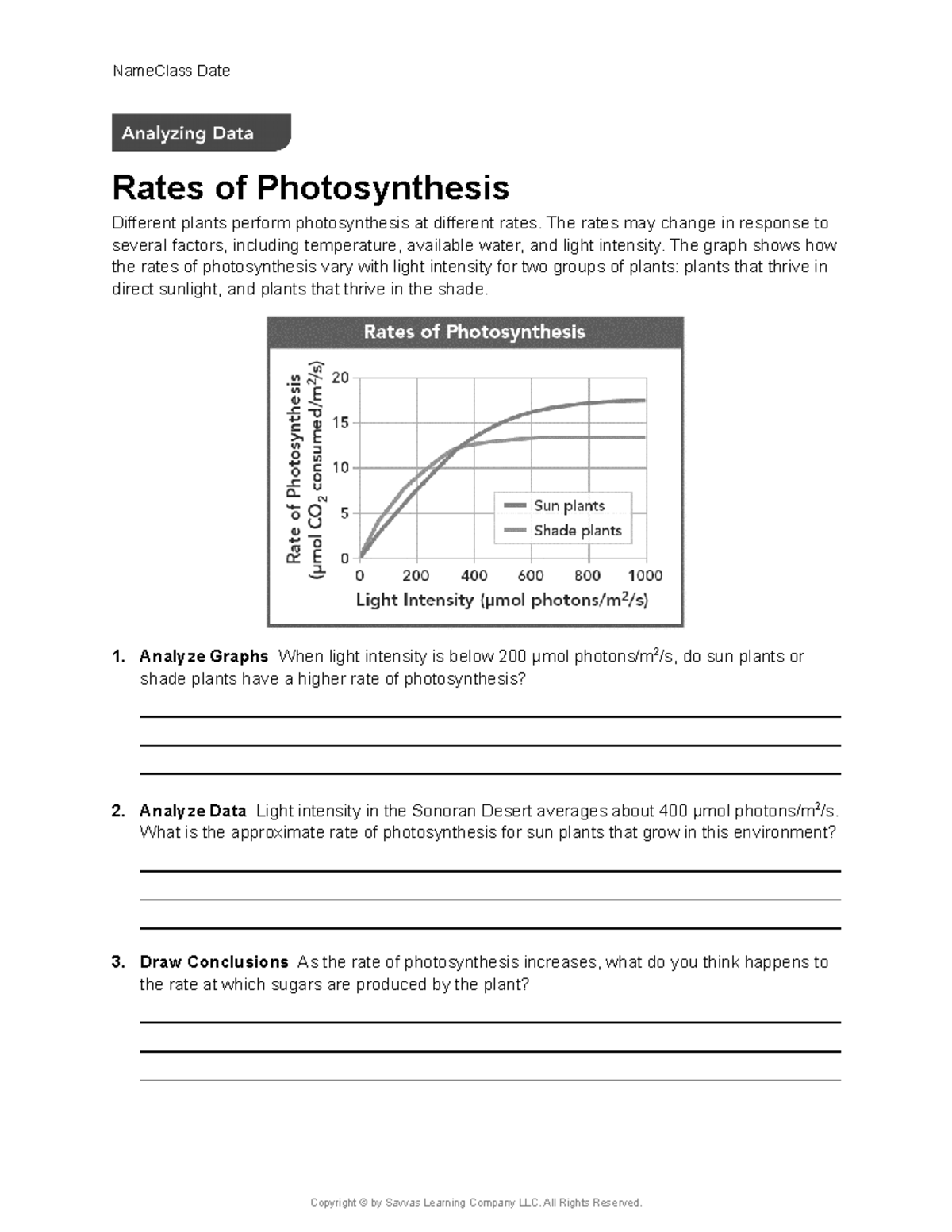 BIO CH09 Analyzing Data - Rates of Photosynthesis Different plants ...