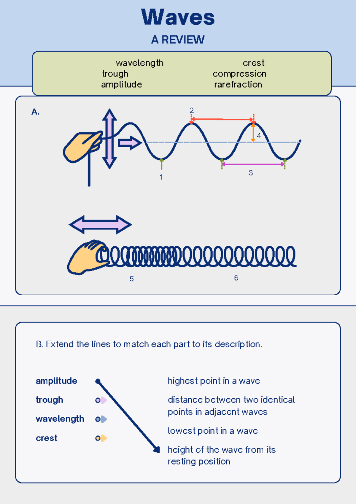 Transverse Waves Activity Science Worksheet in Light Blue Light Green ...