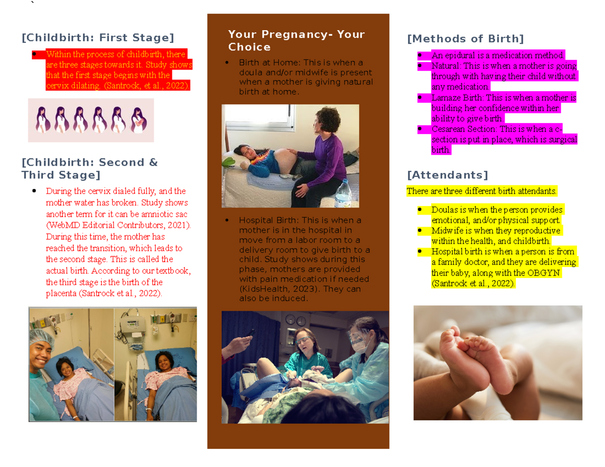 Childbirth and Infant Development Project and Presentation 1 ...