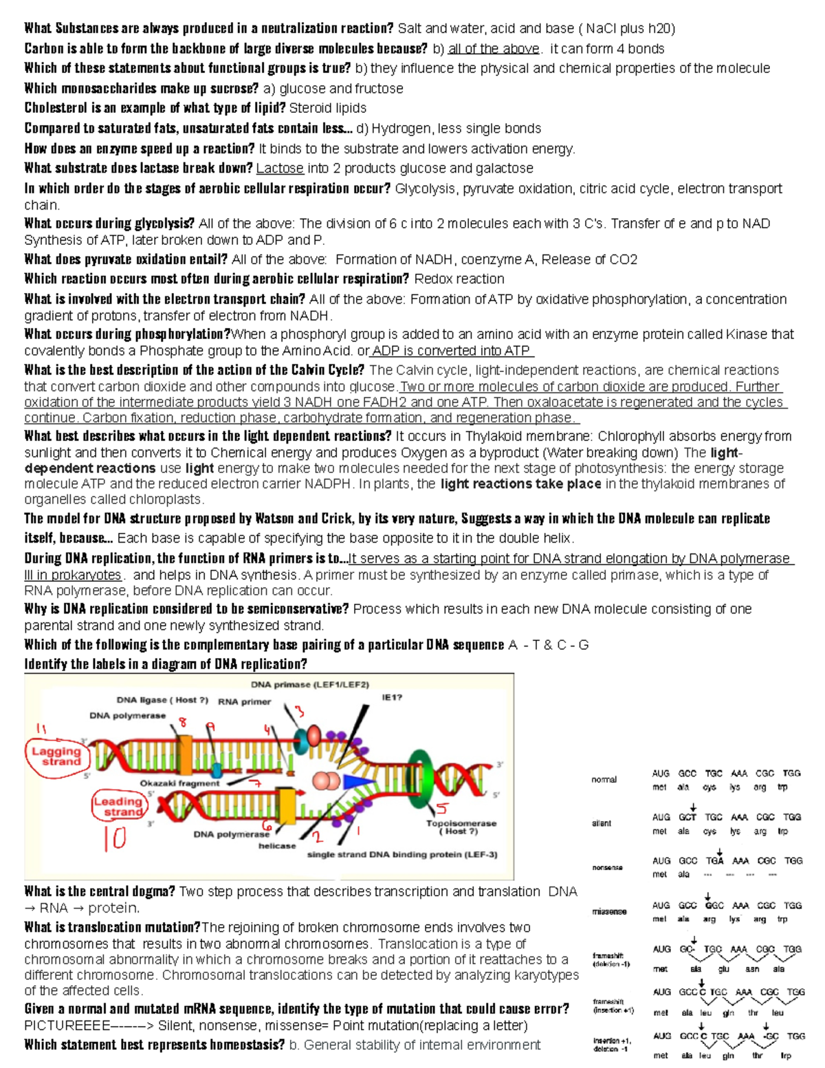 Biology - bio cheat sheet - What Substances are always produced in a ...