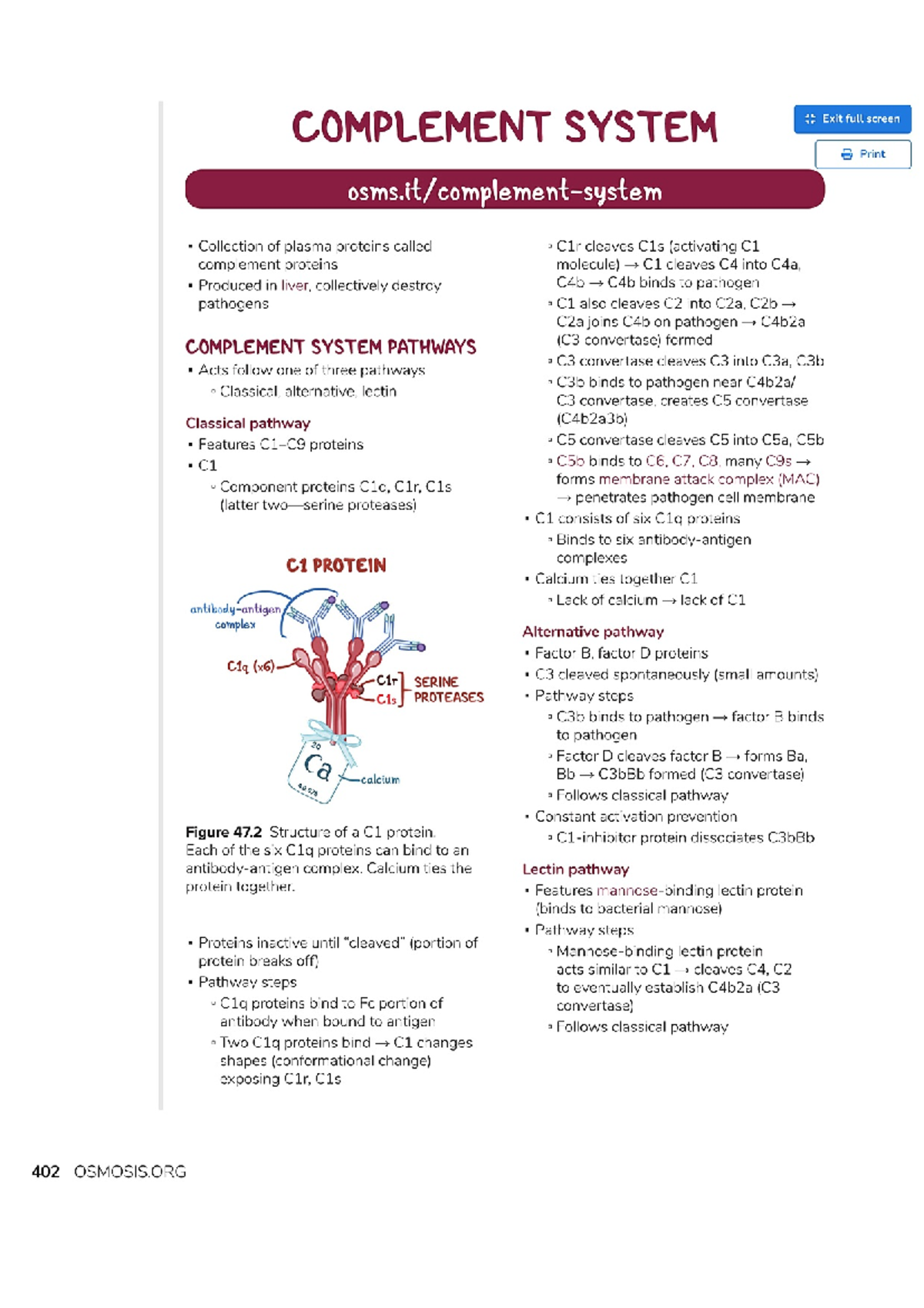 Complement System - COMPLEMENT SYSTEM Exit full screen Print Collection of plasma proteins ...