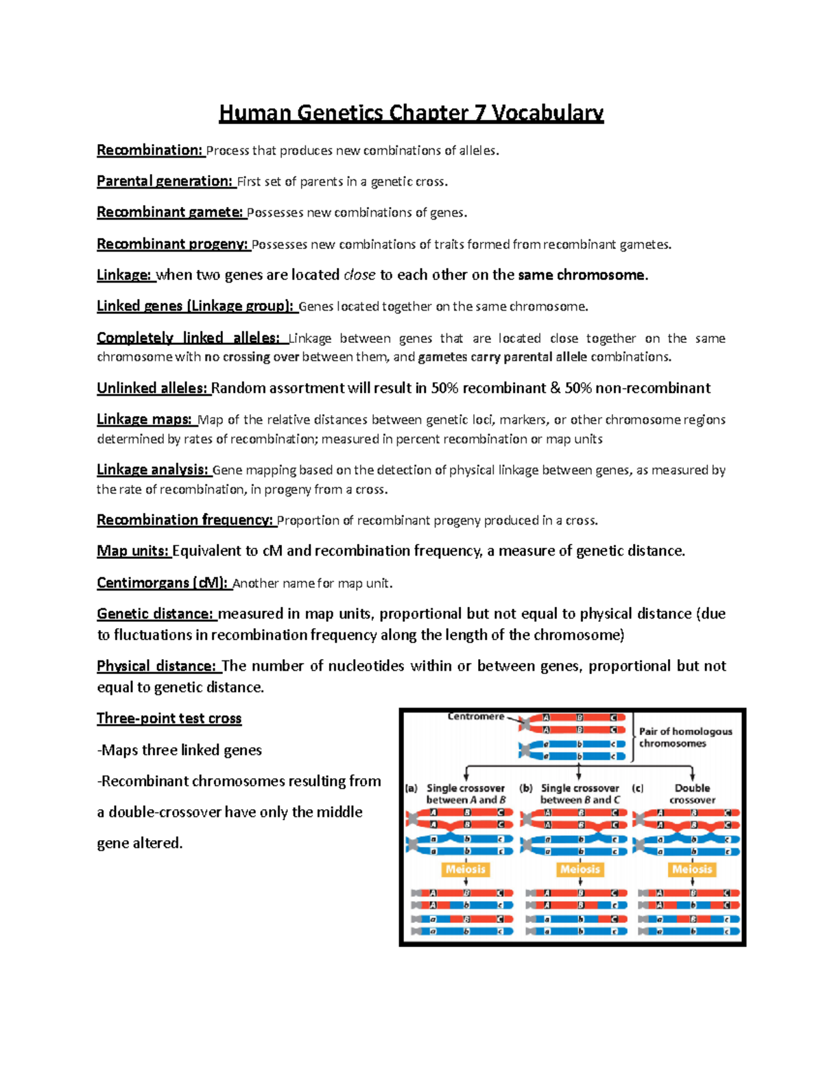 Human Genetics Chapter 7 Vocabulary - Human Genetics Chapter 7 ...