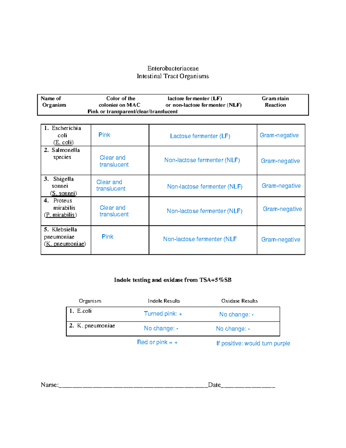 Enterobacteriaceae LF and NLF - Enterobacteriaceae Intestinal Tract ...