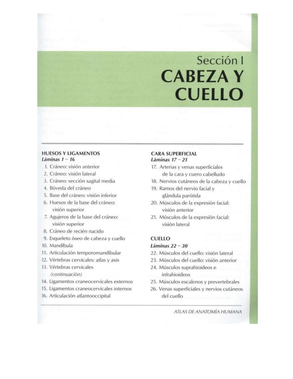 Anatomia de Netter Cabeza y Cuello 1 - Anatomia Normal - Studocu