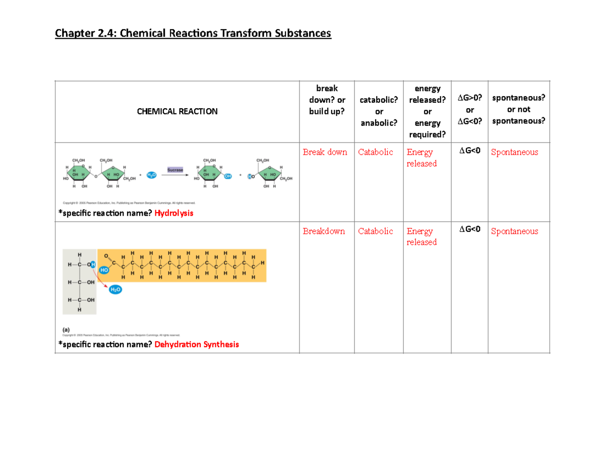Ch 2.4 Chemical Reactions Transform Substances worksheet PDF - Chapter ...