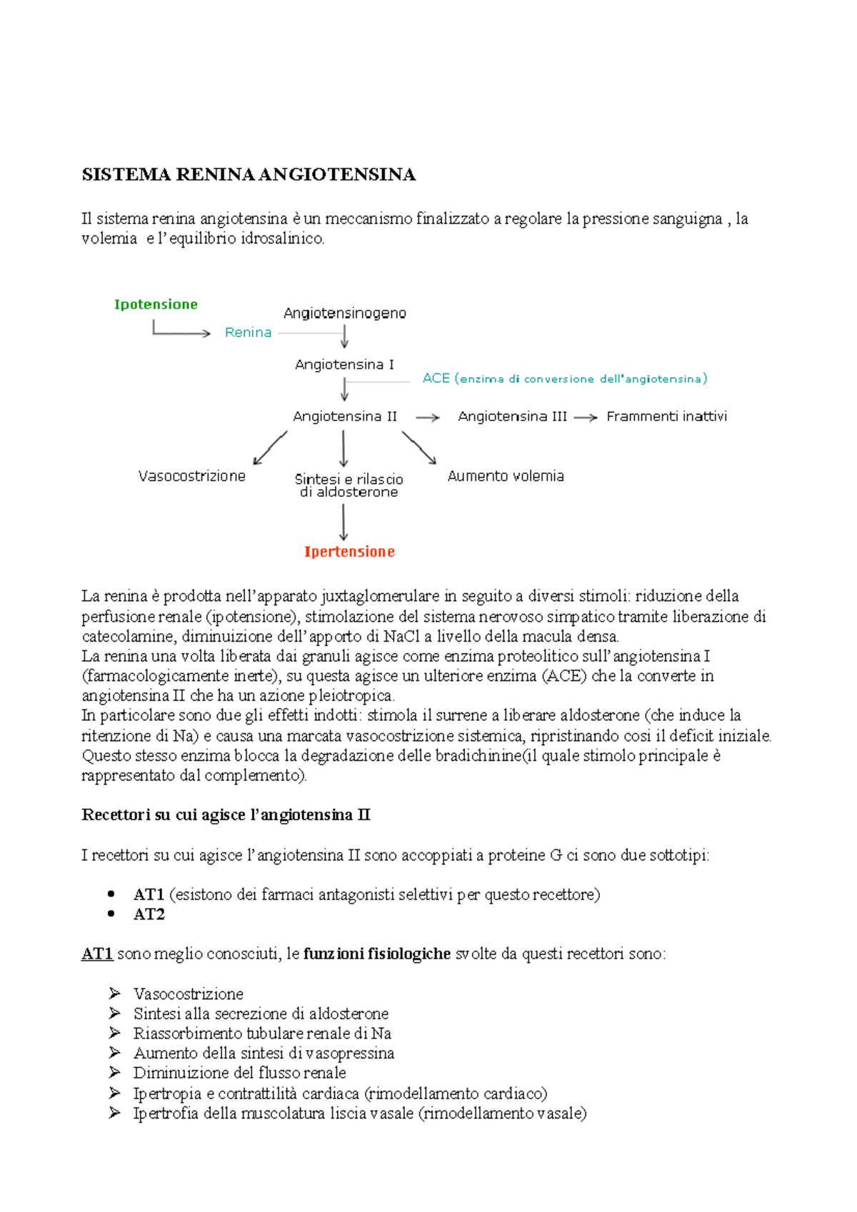 ACE Sartani Digitale - farmacologia - SISTEMA RENINA ANGIOTENSINA Il ...