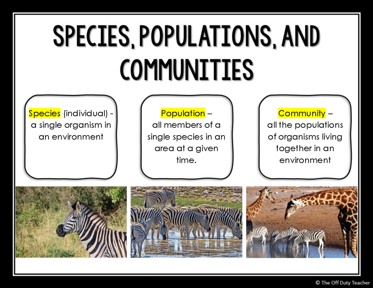 Copy of Species, Population, and Community - Stat 110 - Species ...