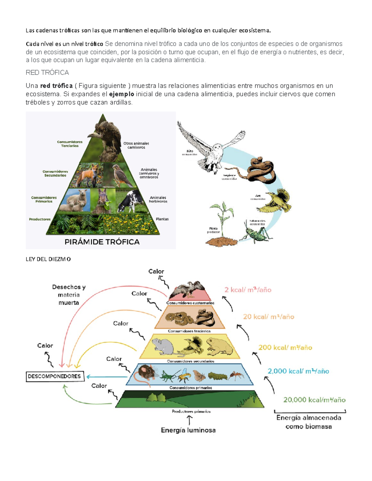 Las cadenas tróficas son las que mantienen el equilibrio biológico en ...