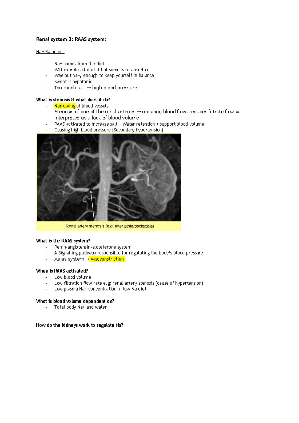 Renal system 3 raas system notes - PY4010 - KUL - Studocu