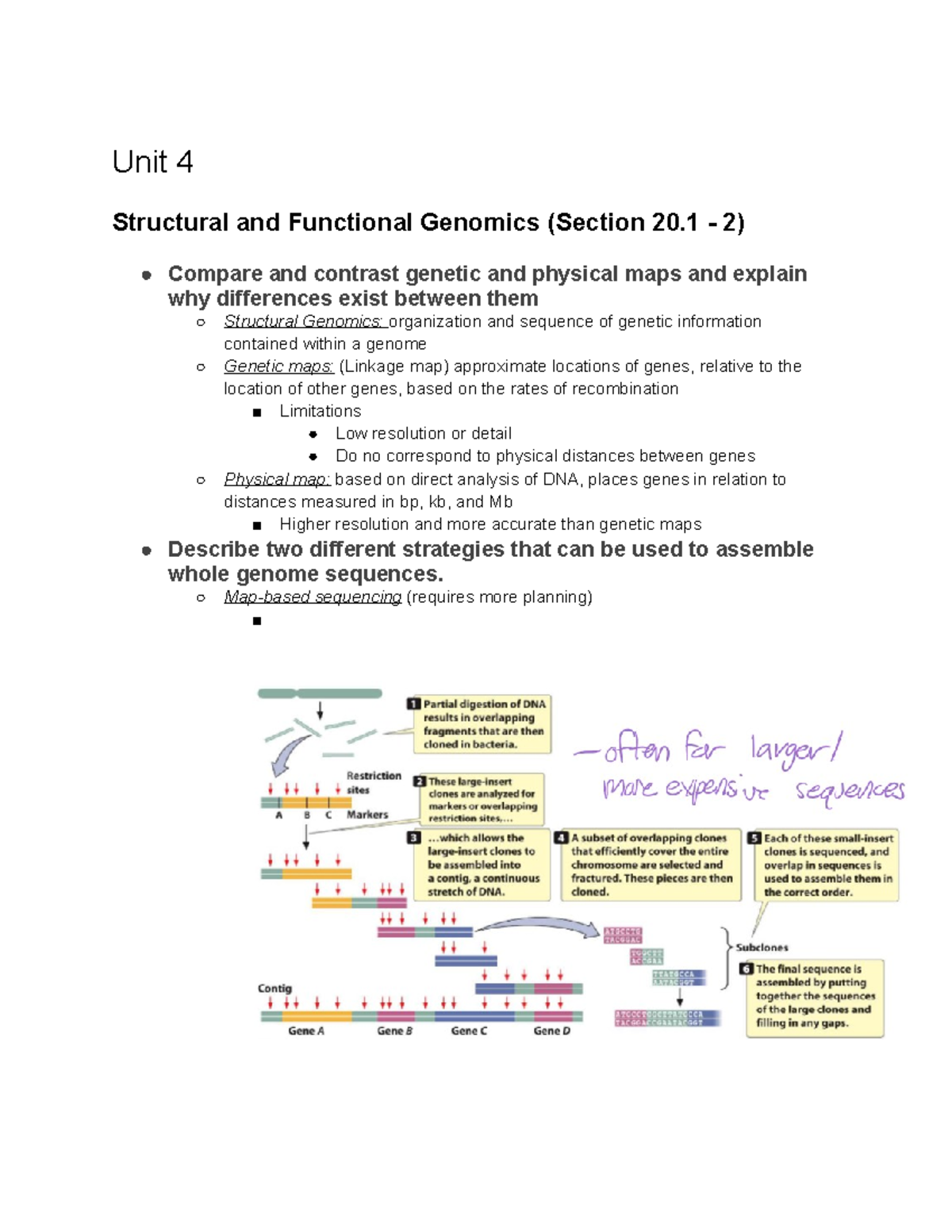 Genetics Unit 4 - Dr Carlson - Unit 4 Structural and Functional ...