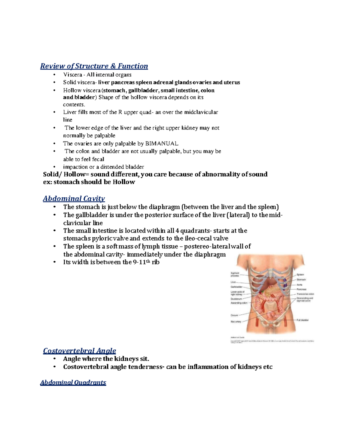 Abdomen assessment copy - Review of Structure & Function • Viscera ...