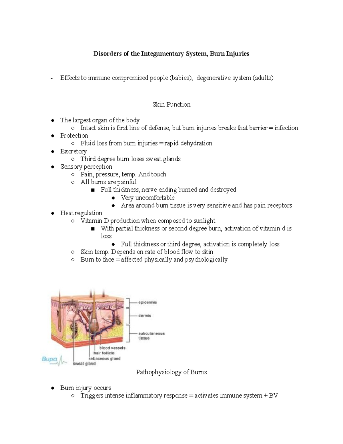 Pathophysio II #3- Disorders of the Integumentary System, Burn Injuries ...