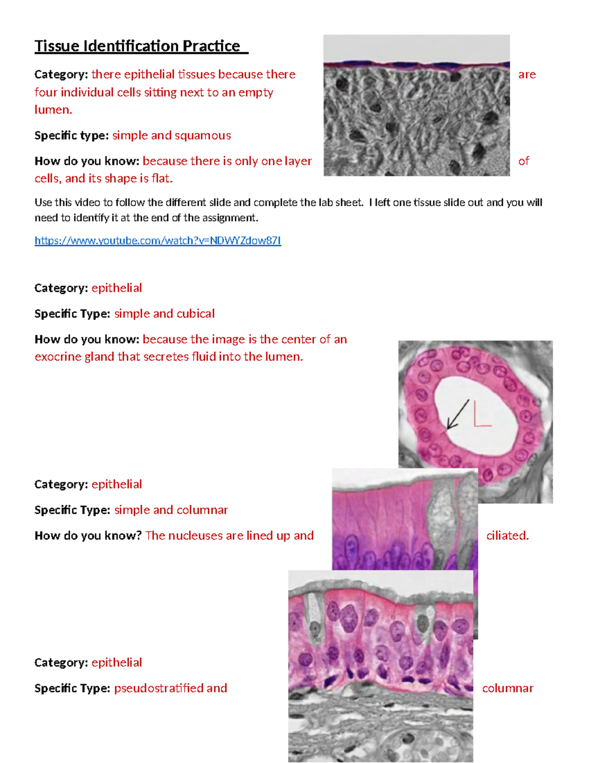 Tissue Identification Practice (3) - Tissue Identification Practice ...