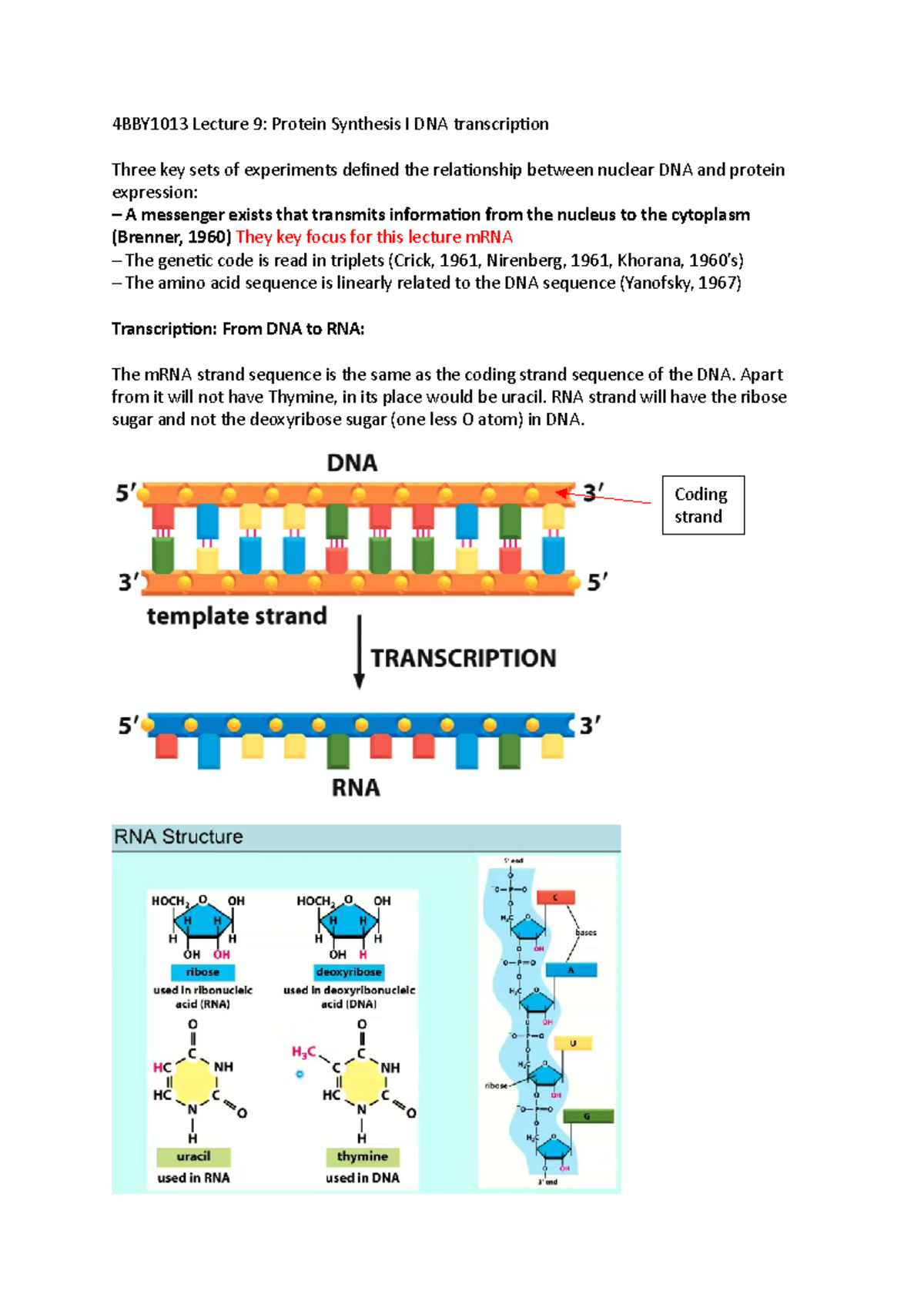 4BBY1013 Lecture 9 - KCL notes, my own personal need to know version ...