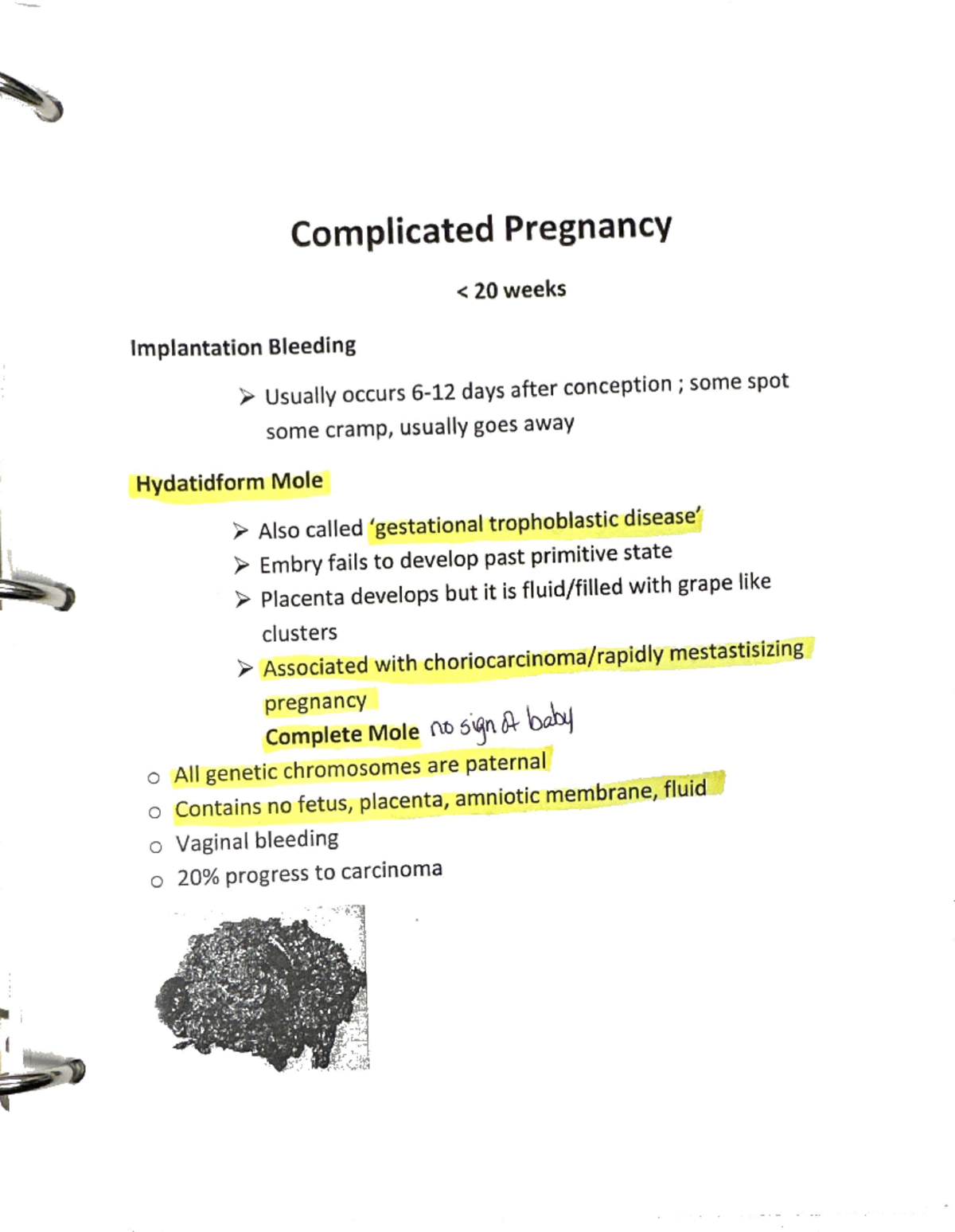 Packet OB 4 - Handbook - CIS 279 - Studocu