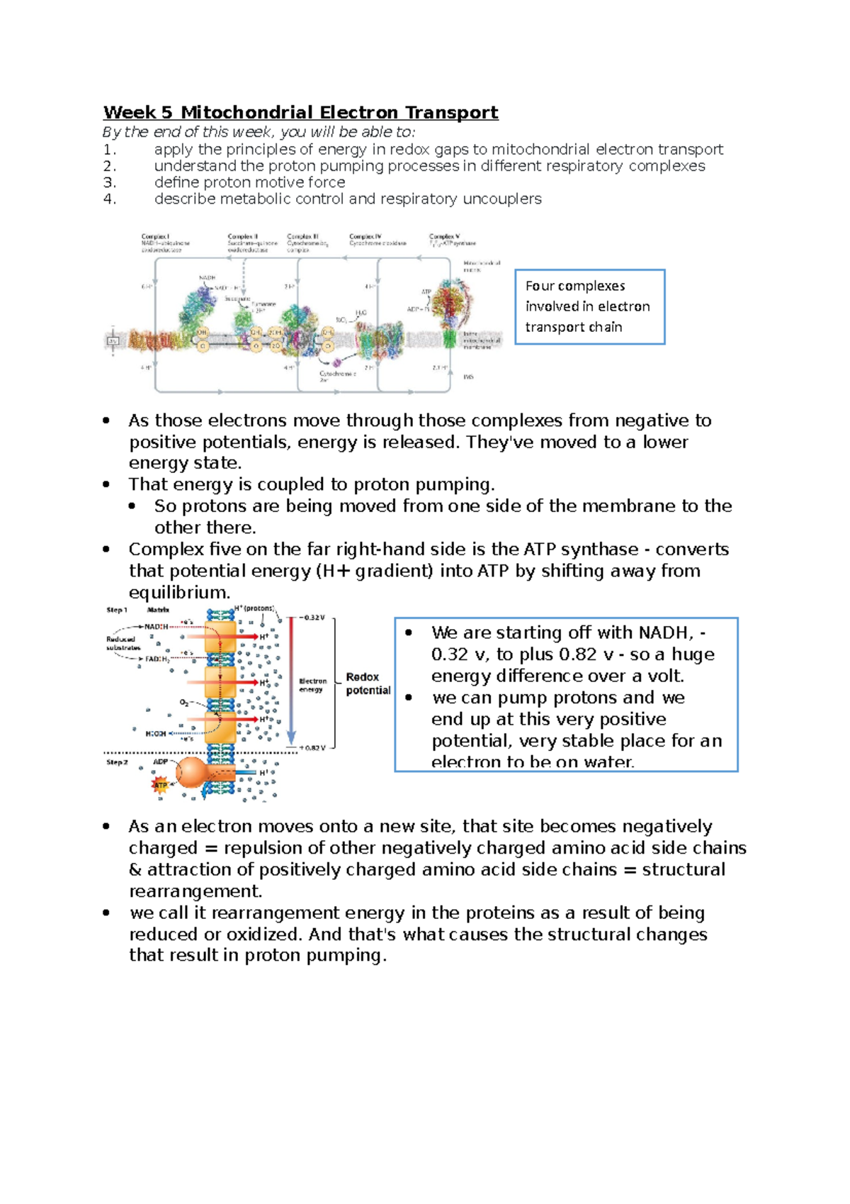 Week 5 mitochondrial electron transport - Week 5 Mitochondrial Electron ...