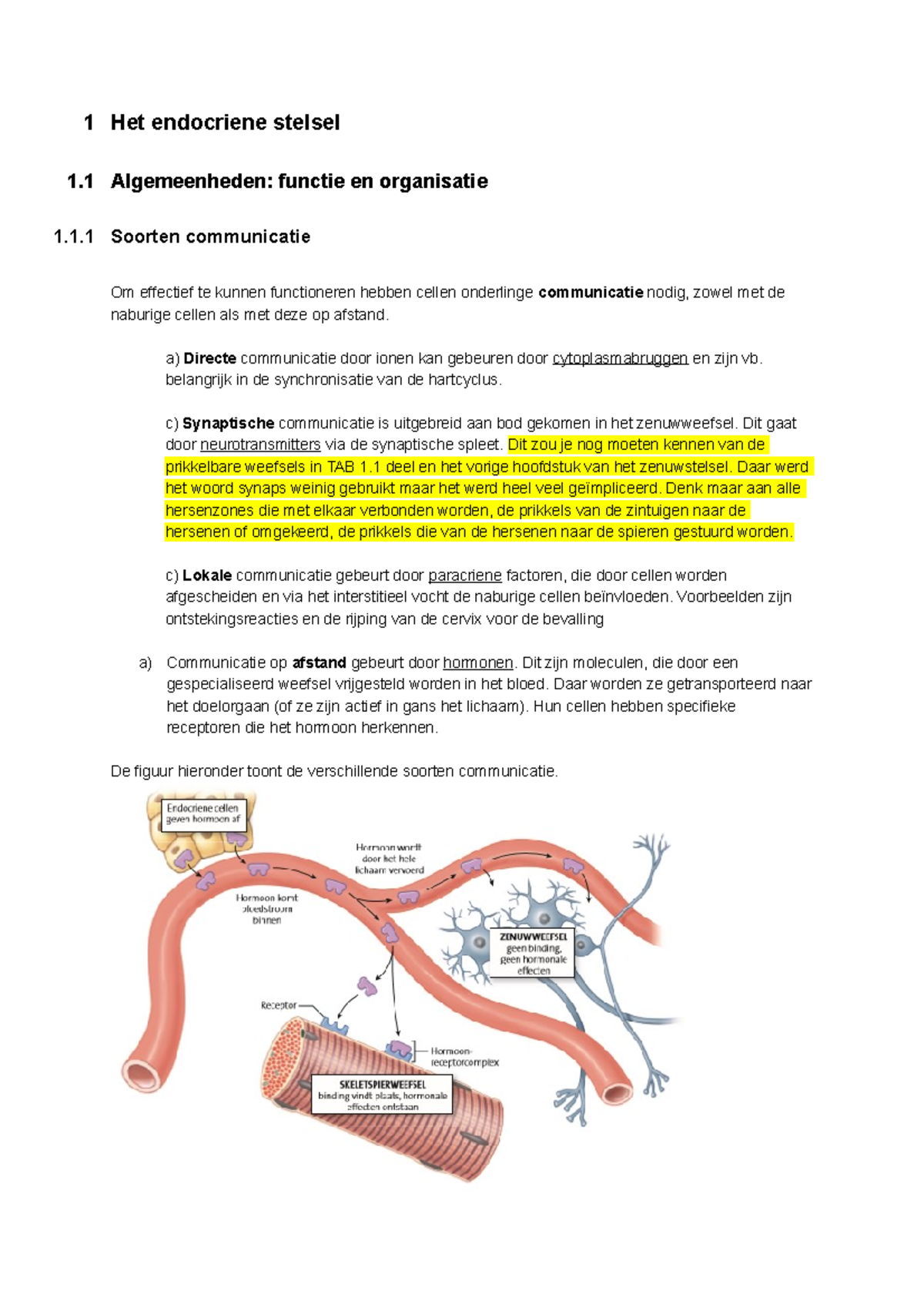 TAB 1.1 (2) hoofdstuk 9 het endocrien stelsel - 1 Het endocriene ...