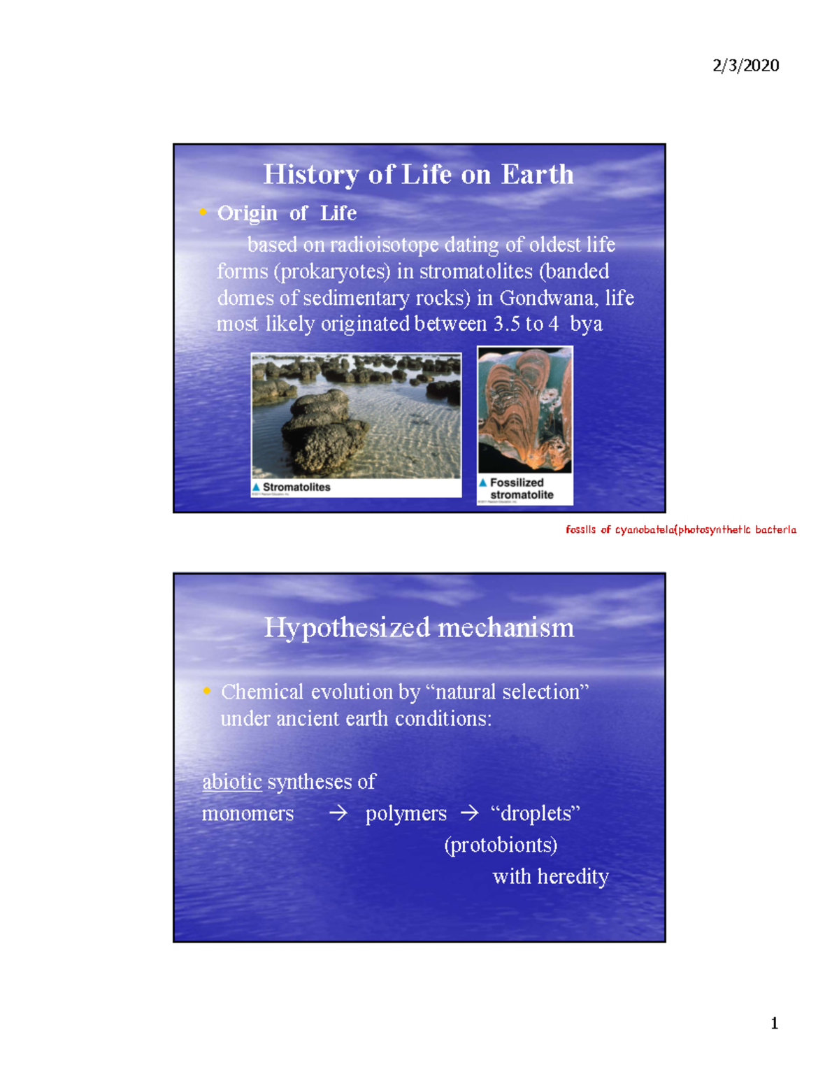 2 History of life - prof.marissa's notes from spring 2024 - History of ...