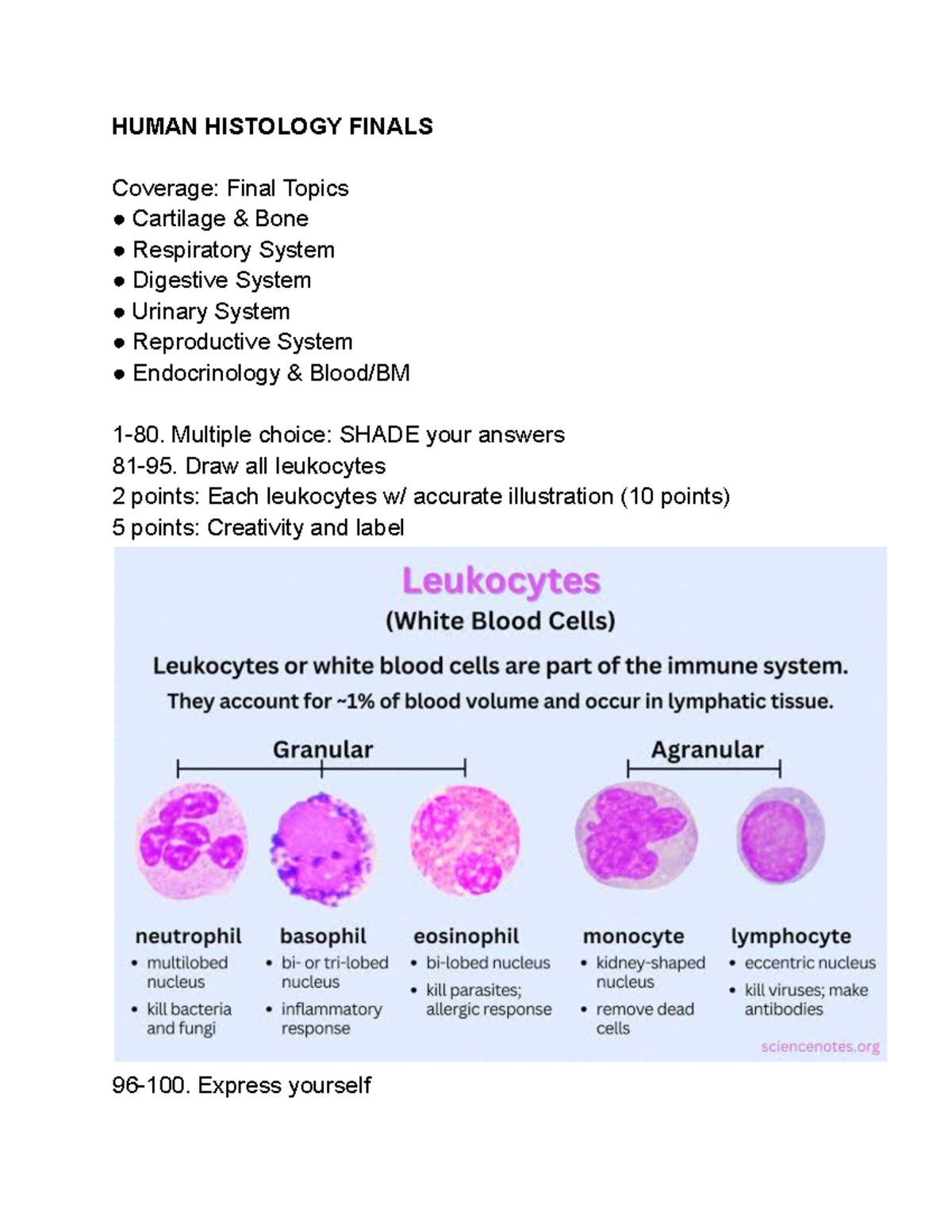 Histology Final Exams - Help other students - HUMAN HISTOLOGY FINALS ...