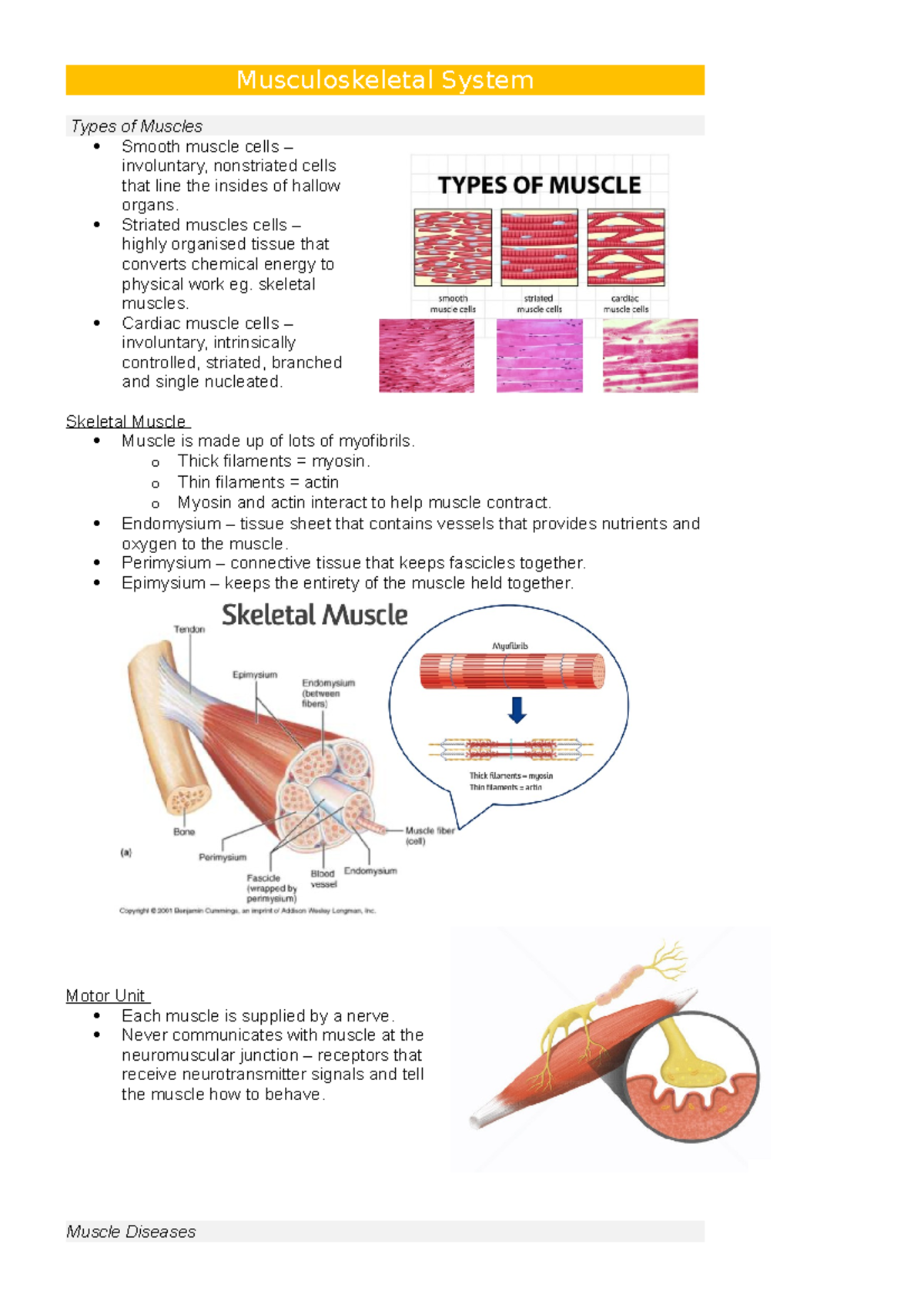 Musculoskeletal System - Musculoskeletal System Types of Muscles Smooth ...