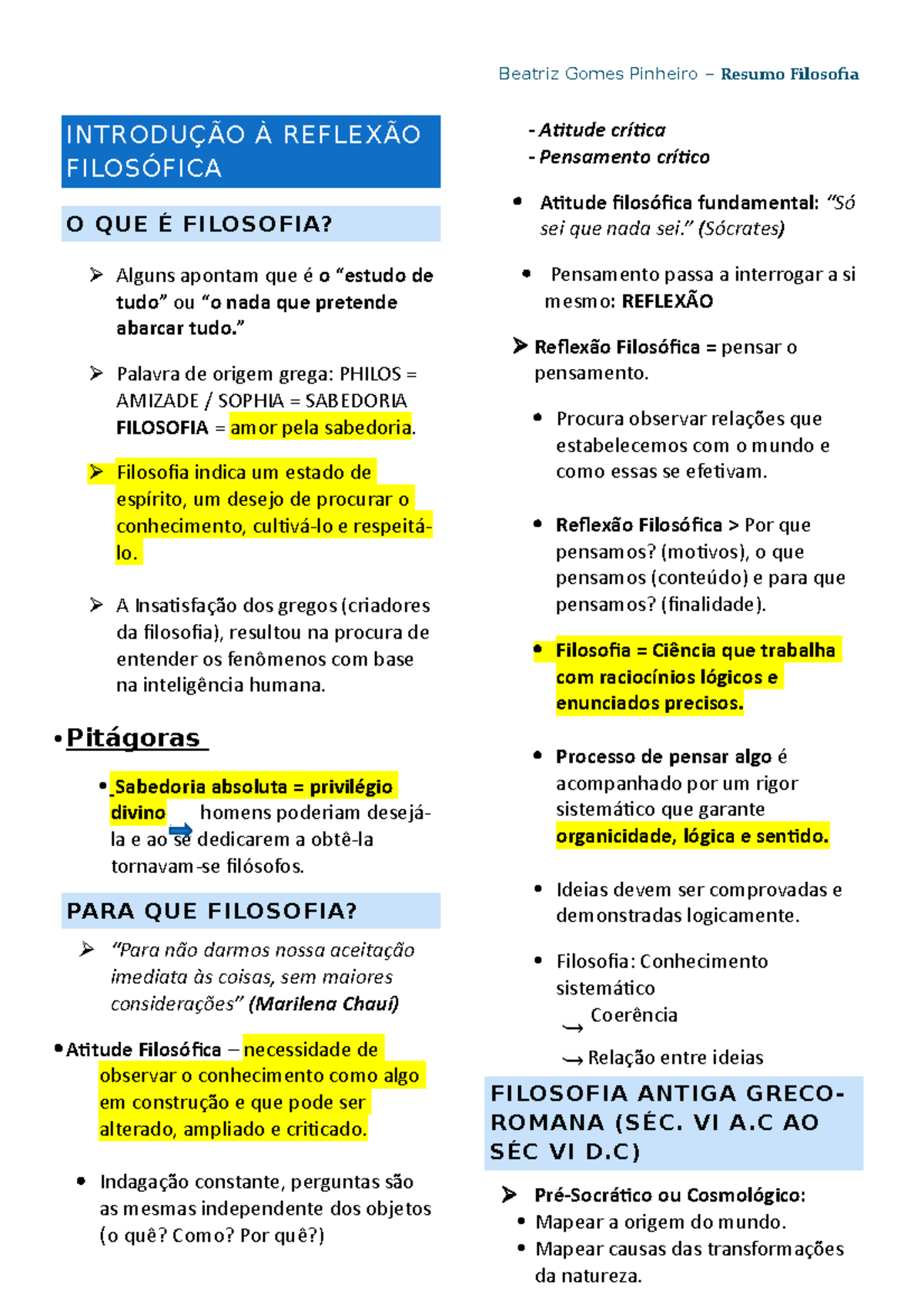 Resumo - Conceitos, teorias, filósofos, o que é filosofia - Beatriz ...
