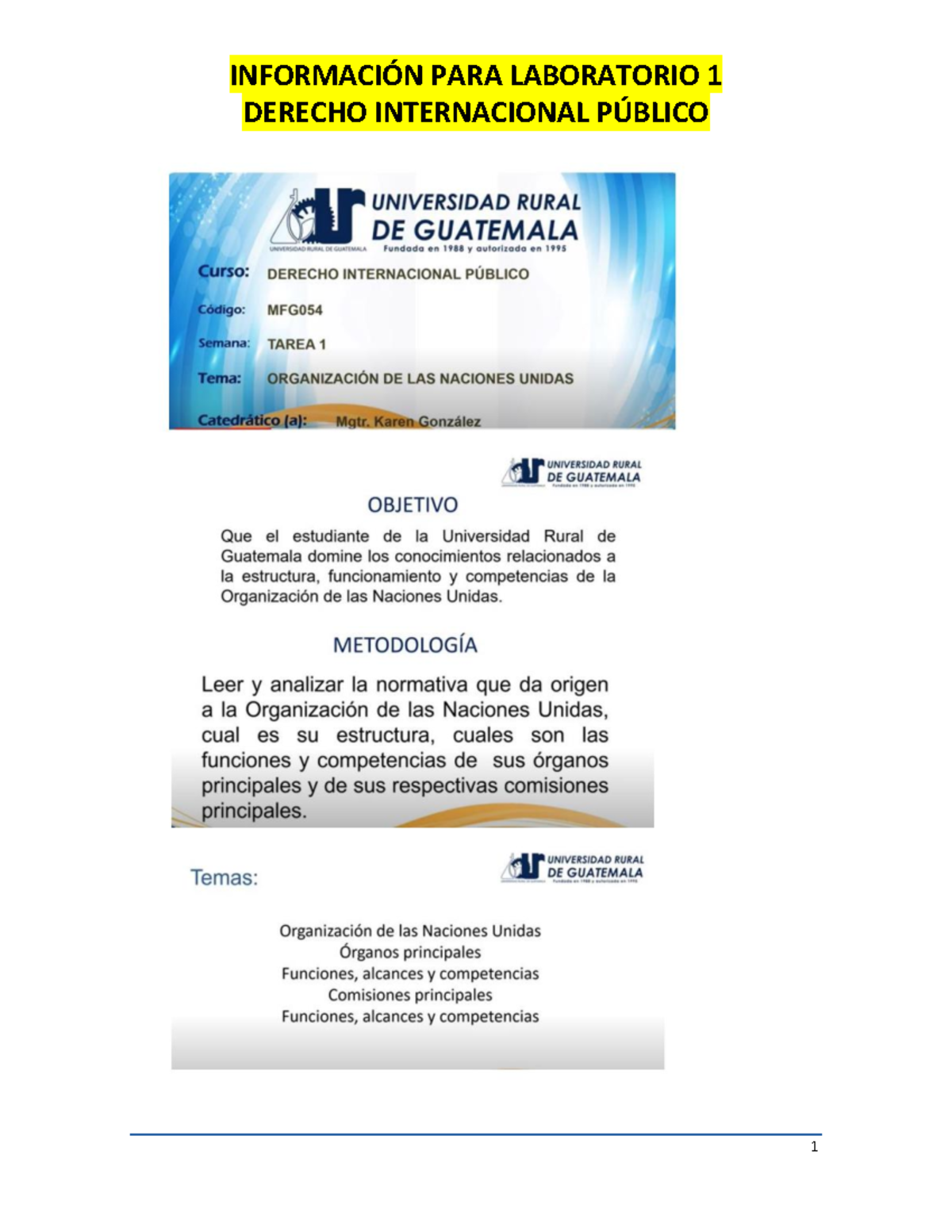 Derecho Internacional Público - Organización de las Naciones Unidas - DERECHO INTERNACIONAL P ...