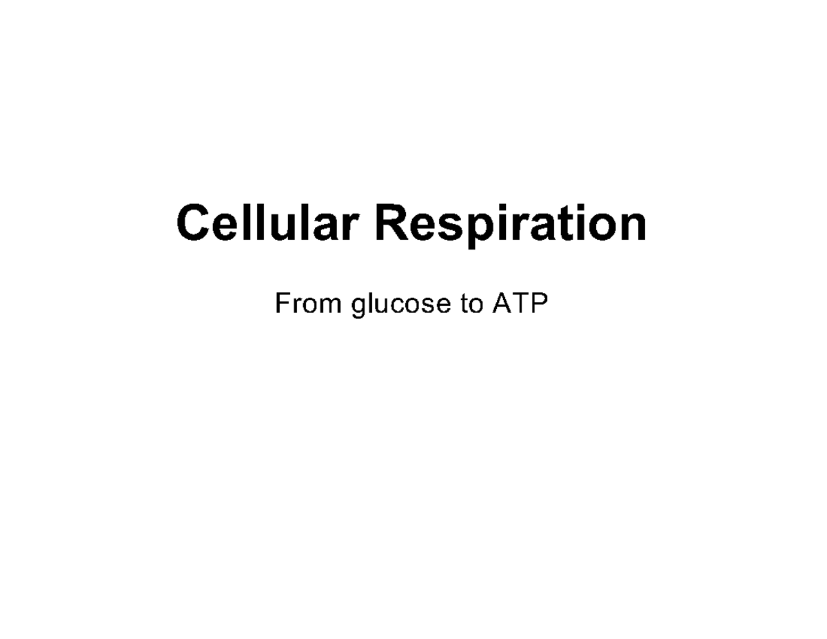 Cellular Respiration - Cellular Respiration From glucose to ATP All ...