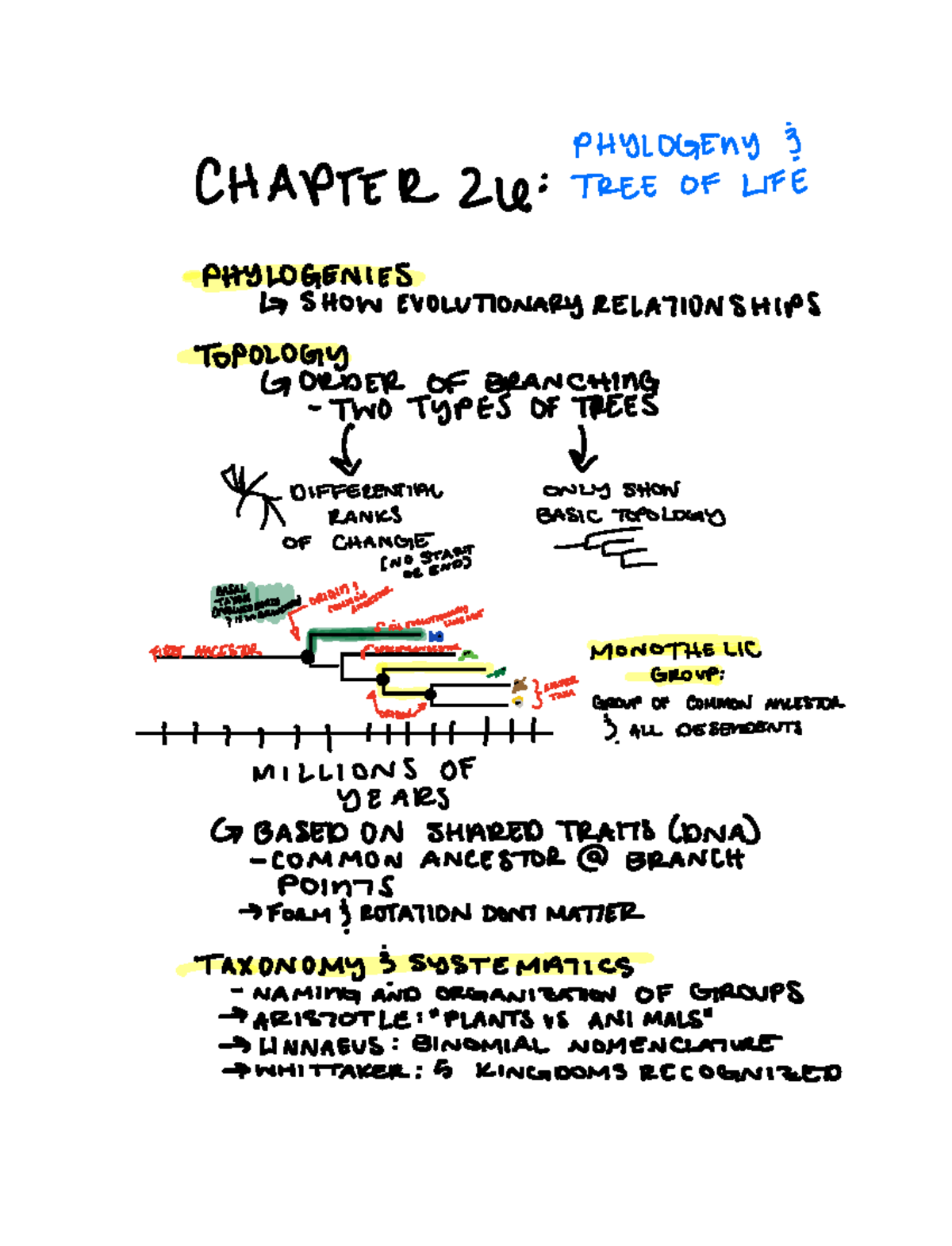 Biology 183 Pearson Mastering Biology Chapter 26 - PHYLOGENY 3 CHAPTER ...
