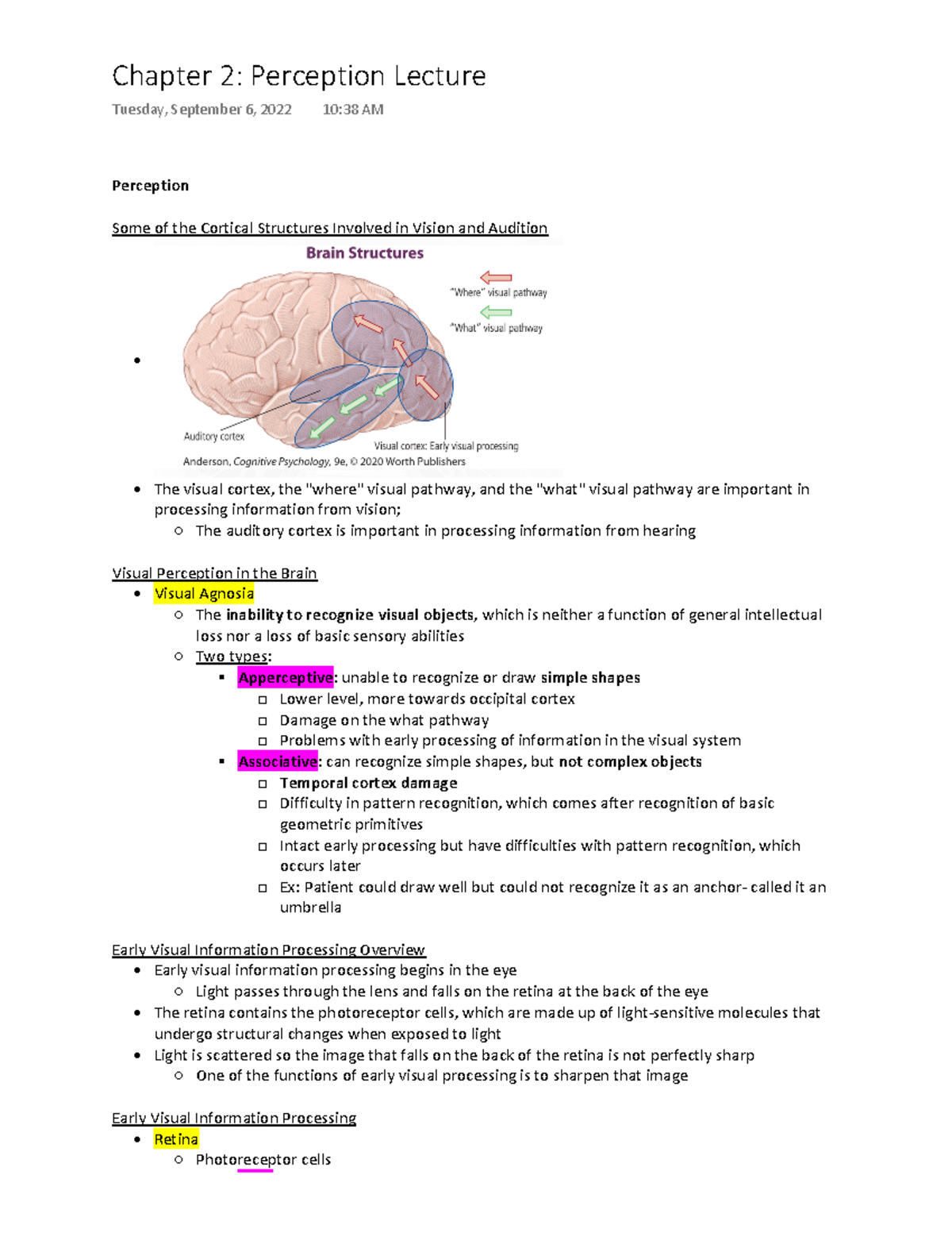 Cognitive Processes Ch2 - Perception Some of the Cortical Structures Involved in Vision and ...