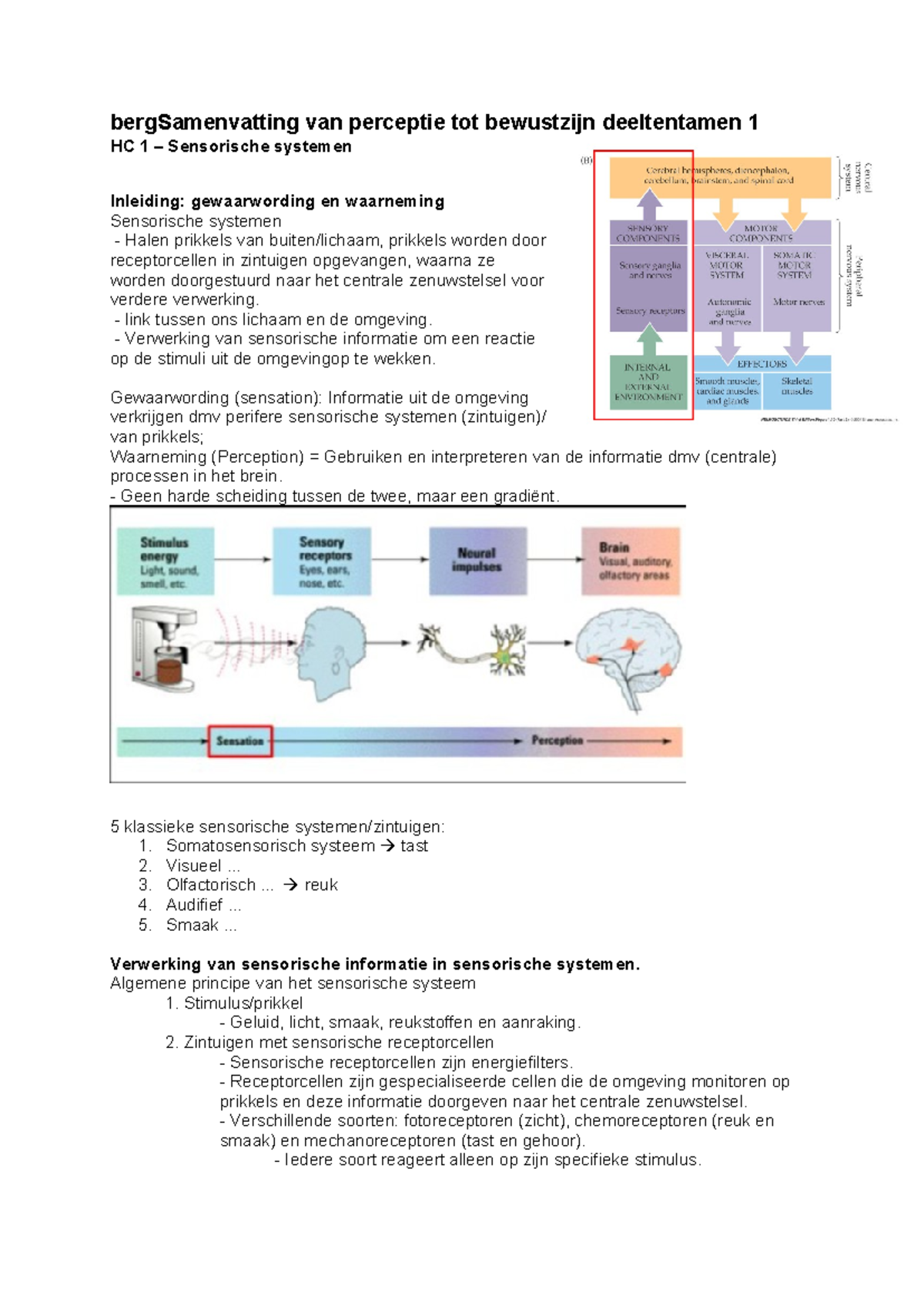 Samenvatting van perceptie tot bewustzijn deeltentamen 1 - link tussen ...
