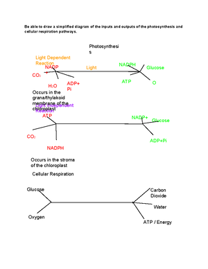 Unit 3 AOS 2 Cue card questions - Cue card questions Q- what is a c3 ...