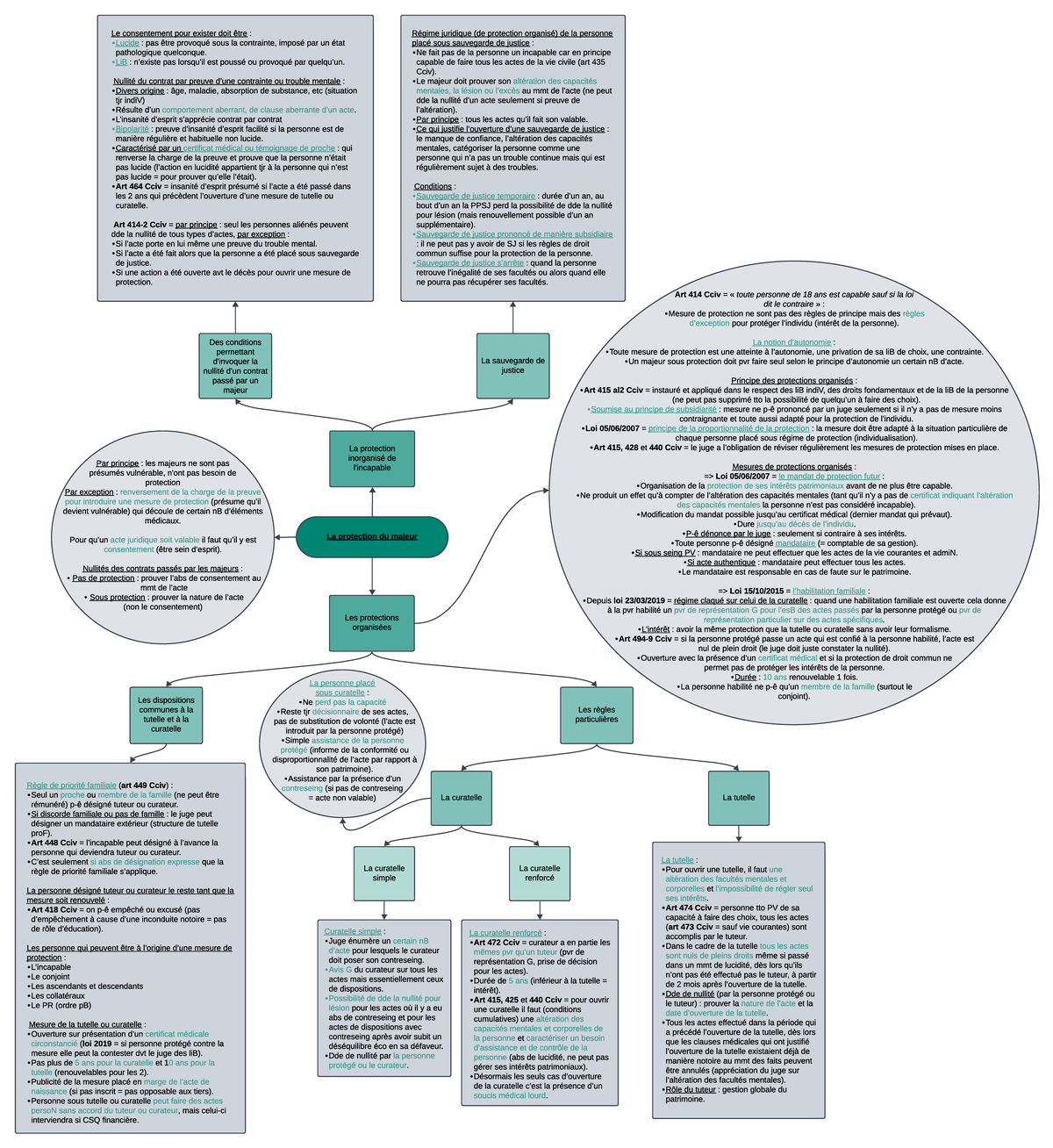 Carte mentale incapacité du majeur - La protection du majeur La ...