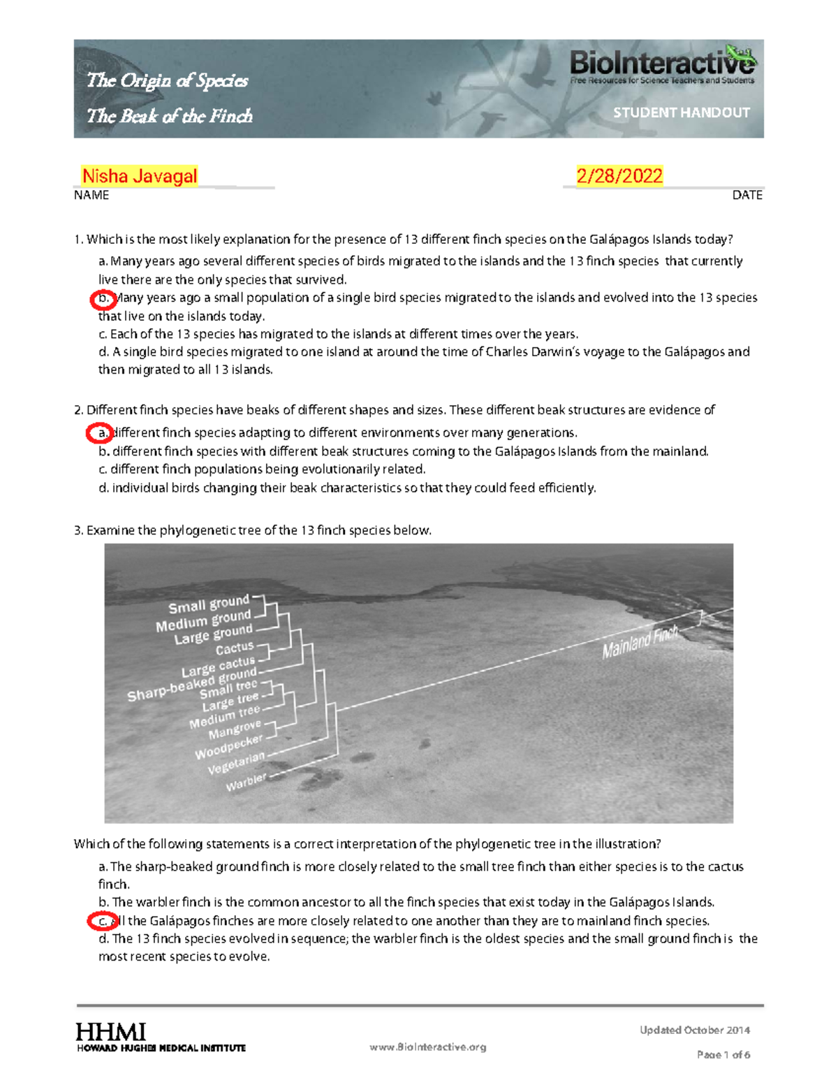 Biology 1 - Beak of the Finch Video Quiz KEY - The Making of the ...