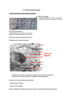 TP 1 2 Microscopes - Travaux pratiques en biologie cellulaire portant ...
