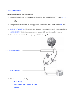Lymphatic system pt. 3 - Professor Dave Marzan summarized - Lymphatic ...