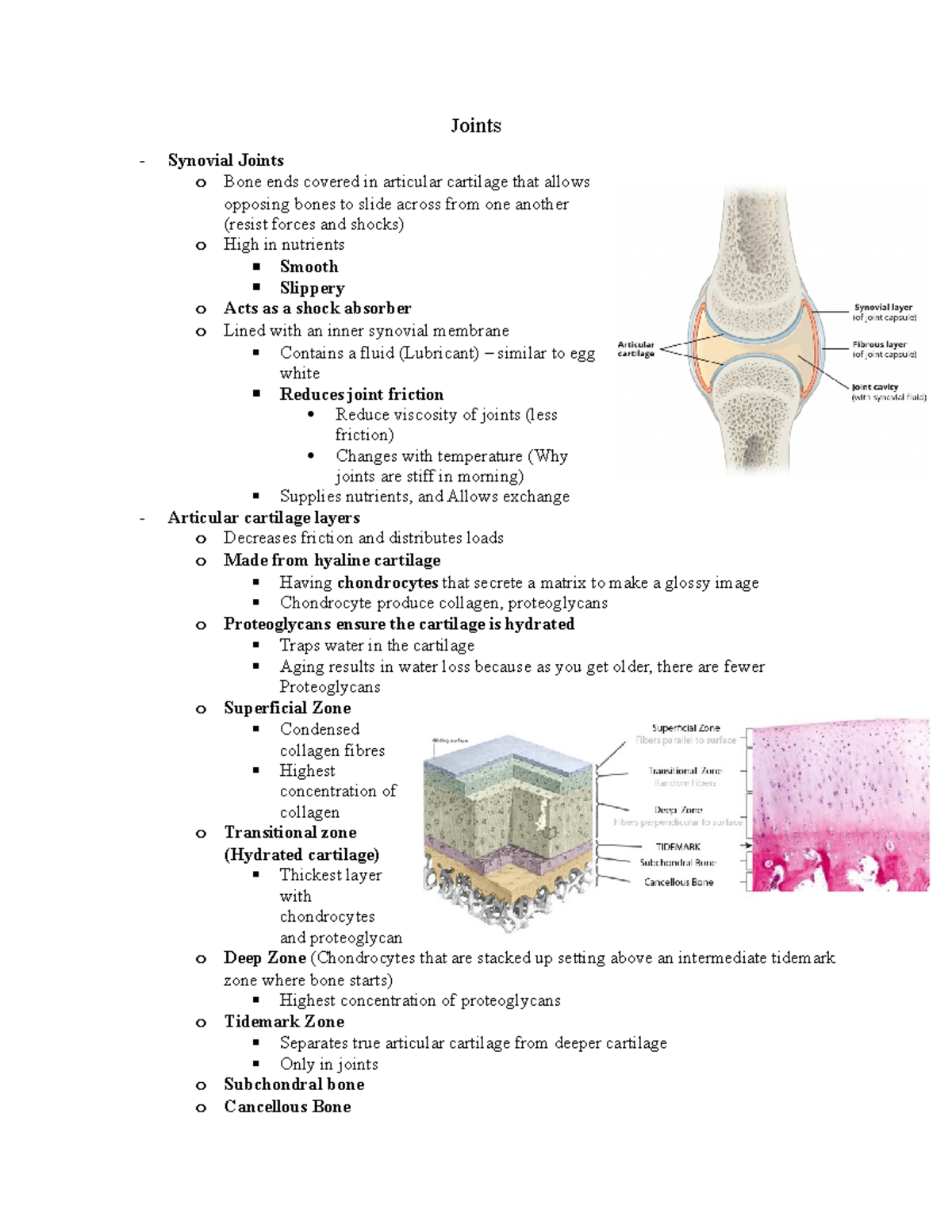 Joints - Lecture notes 6 - Joints - Synovial Joints o Bone ends covered ...