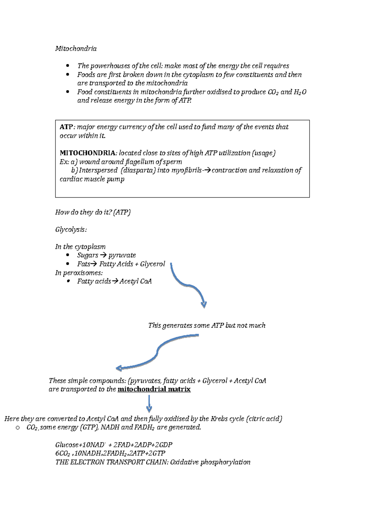 Mitochondria Notes lecture 10 - Mitochondria The powerhouses of the ...