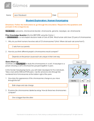 Solve the Outbreak Virtual Lab Simulation - Solve the Outbreak Virtual ...