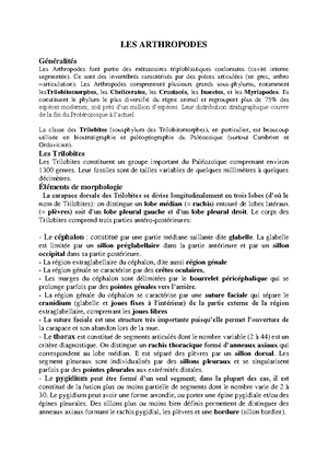 Cours gasteropode - Paléontologie 2eme année L2 -s3 Dr. Benmansour Sana ...