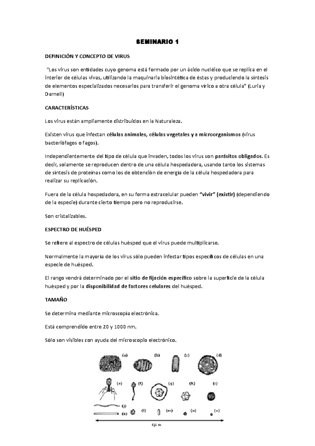 Seminario 1 - SEMINARIO 1 Y CONCEPTO DE VIRUS virus son entidades cuyo ...